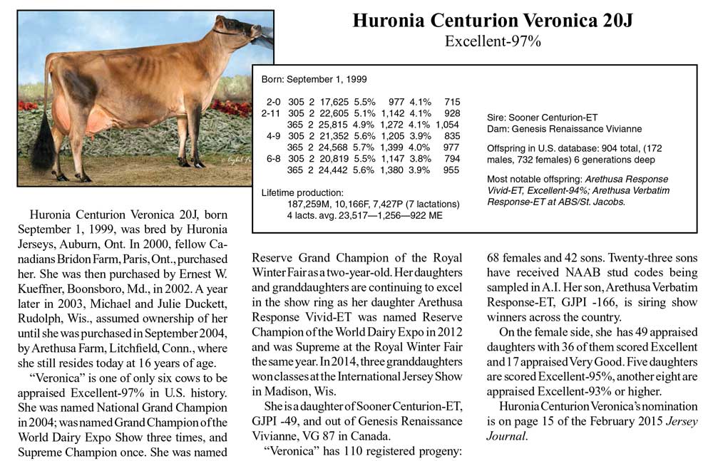 Great Cow Contest Nominees